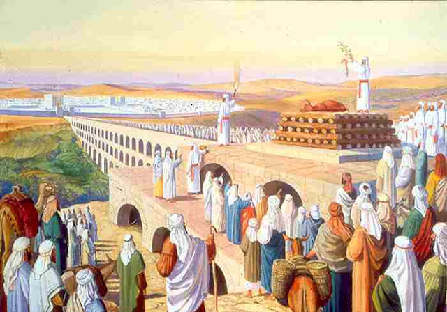 The Five Tabernacle / Temple Sacrifices