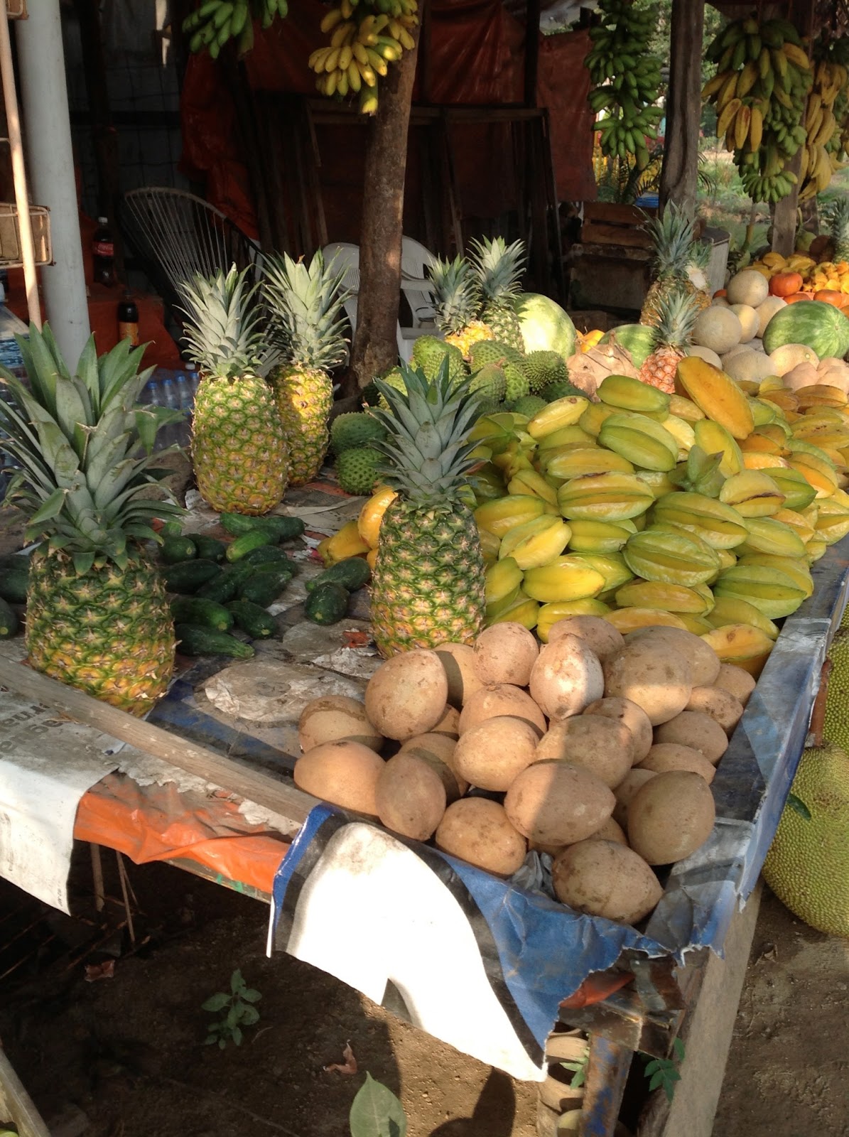 Flavors of the Sun: Mexican Fruit...and a Recipe