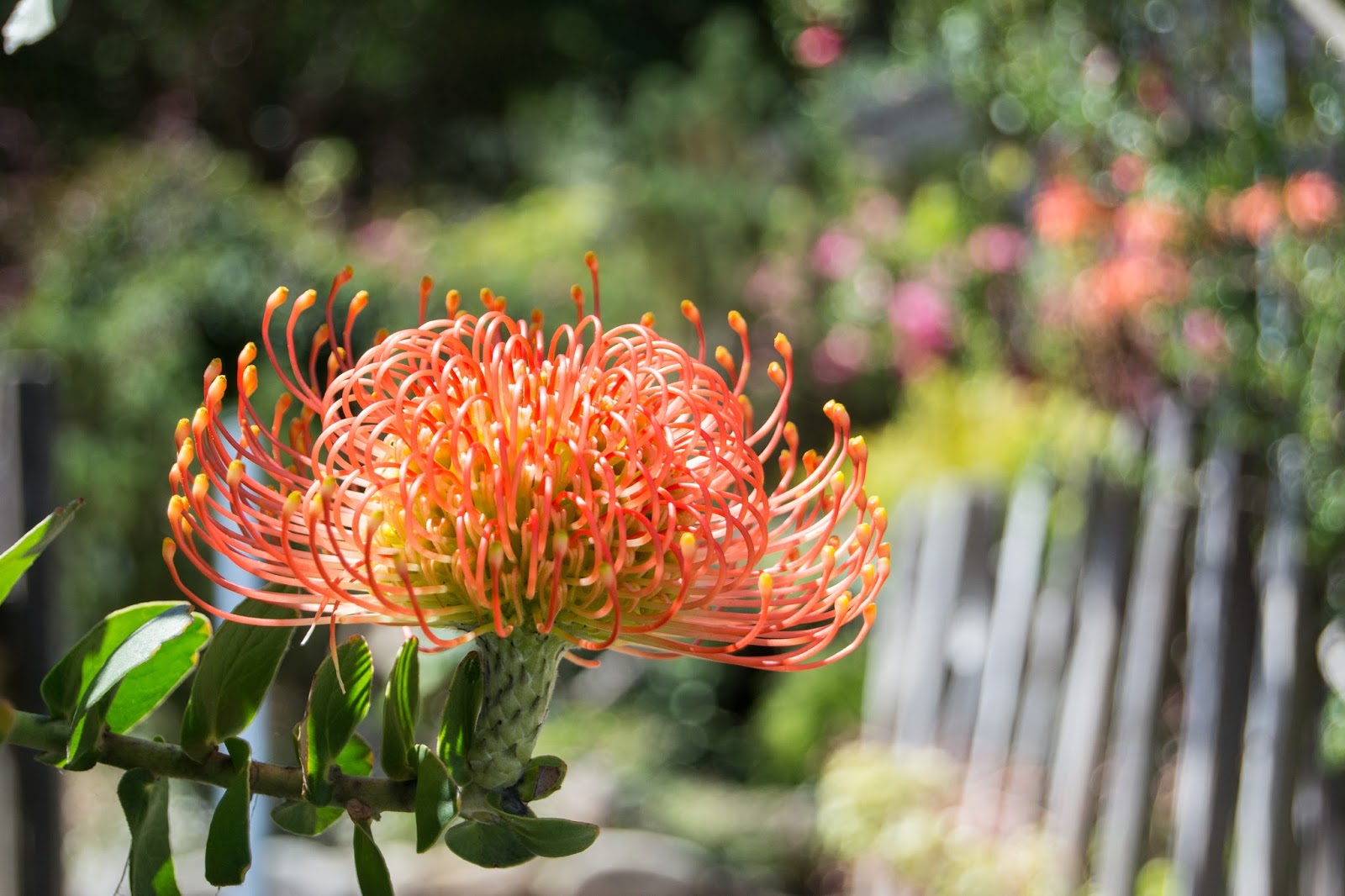 M and V Life So Far: Big Sur: California