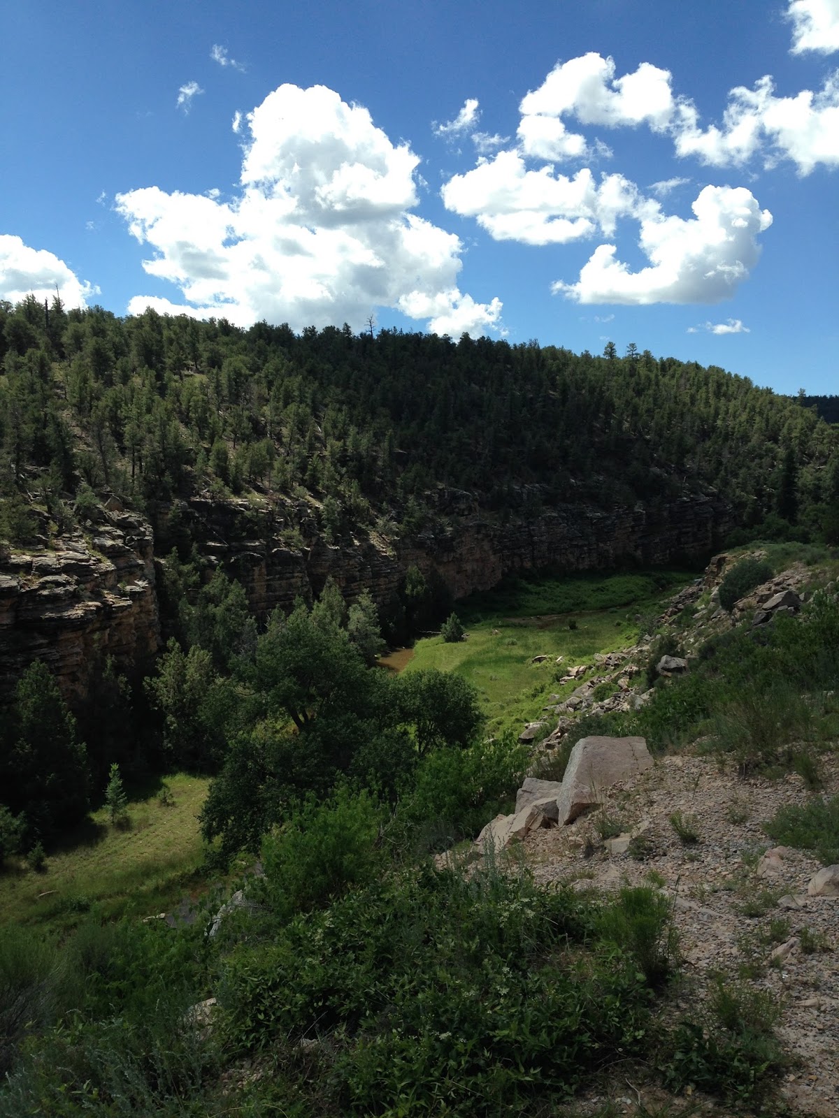 Southern New Mexico Explorer: Bluewater Canyon, Zuni Mountains- Cibola ...