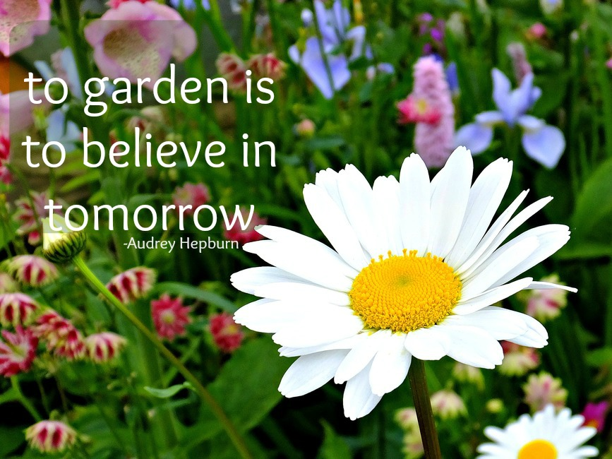 Little Love Foundation: Remembering Baby/Making Keepsakes