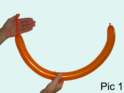 CLASSICAL: Balloon fish