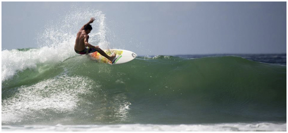 swop surfboards: ASSINIE MAFIA