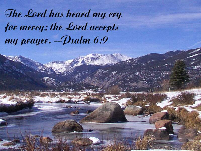 Psalms on Sunday: Psalm 6 | Welcome to