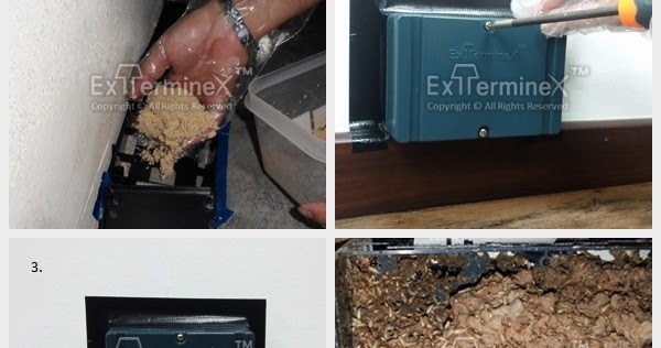 Metro Pest Control Services: EXTERMINEX TERMITE BAITING STATIONS ...