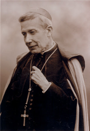 Know It Here: Marcelo Spinola