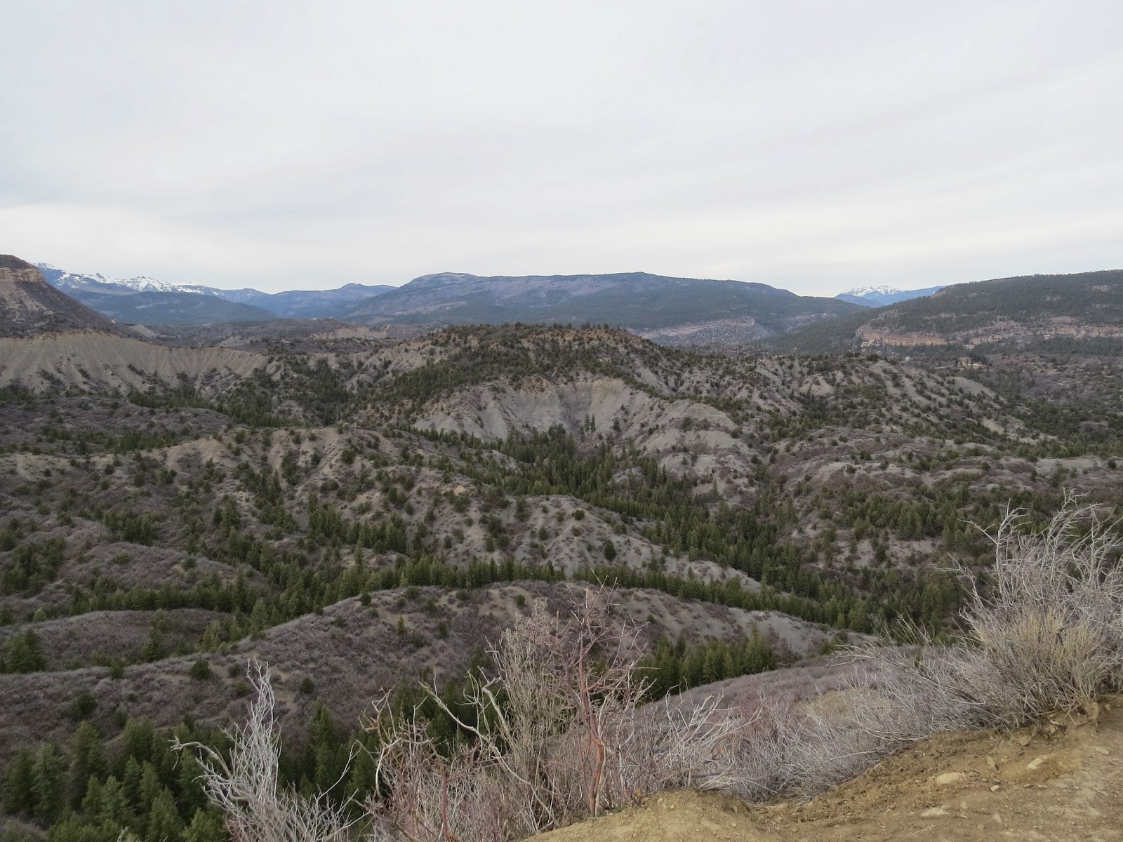 Durango Daily Photo: What's up on top of the Hogsback