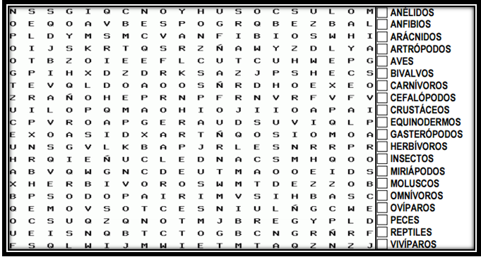 Reino animal clasificacion