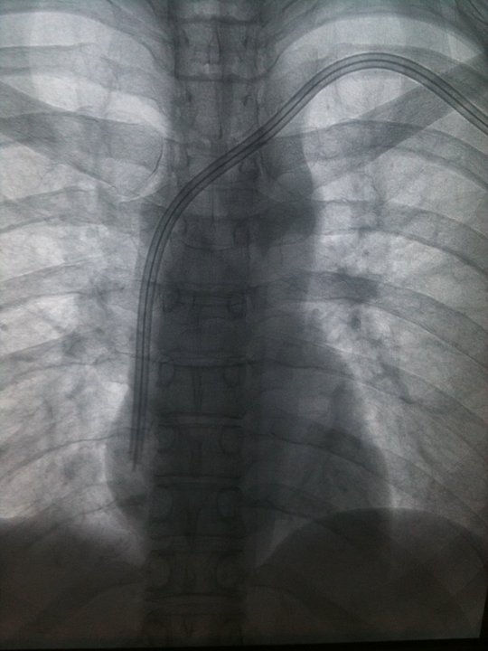 ...Sharing Because I Can!