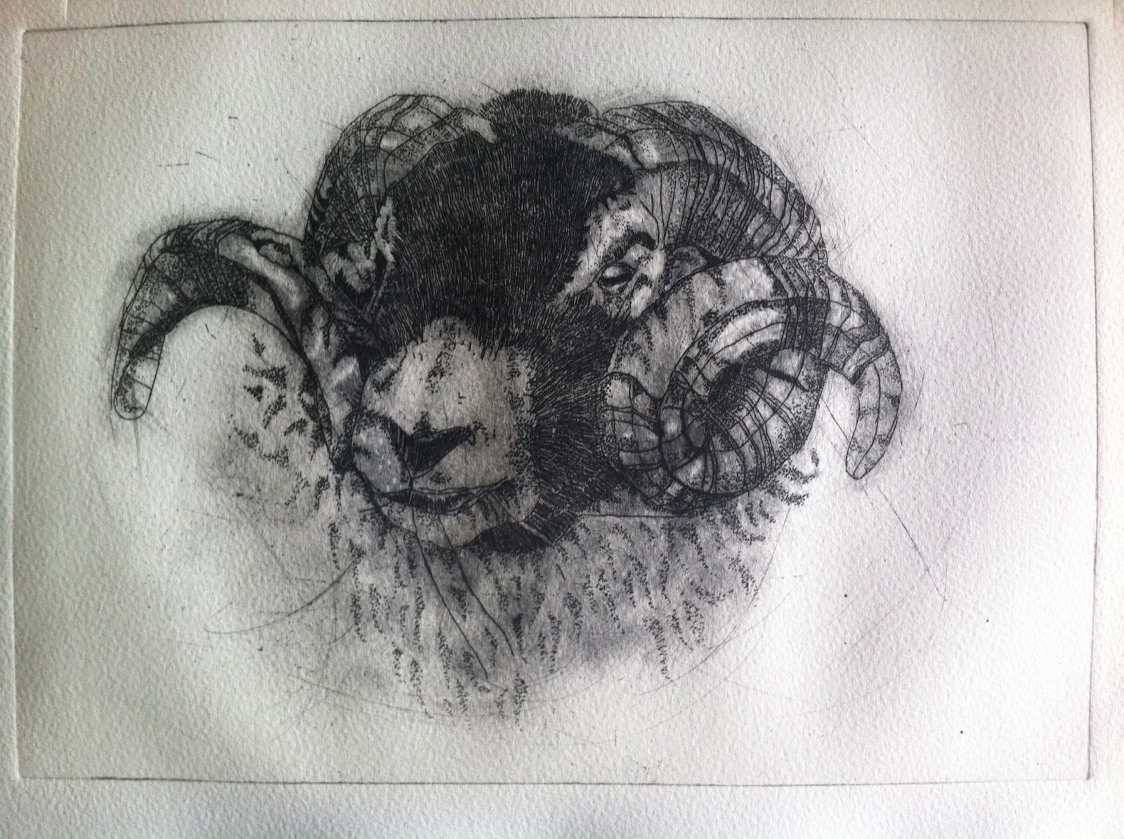 Staithes Artist Blog: Etching and Drawing