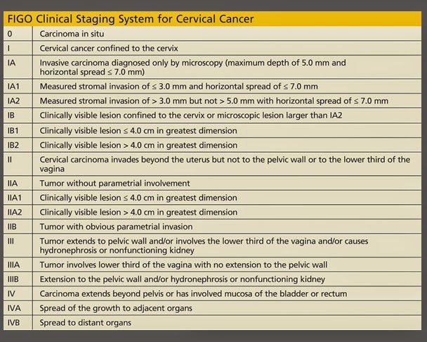 hEiDiMatEs - MeDICinE: Cervical carcinoma: Staging