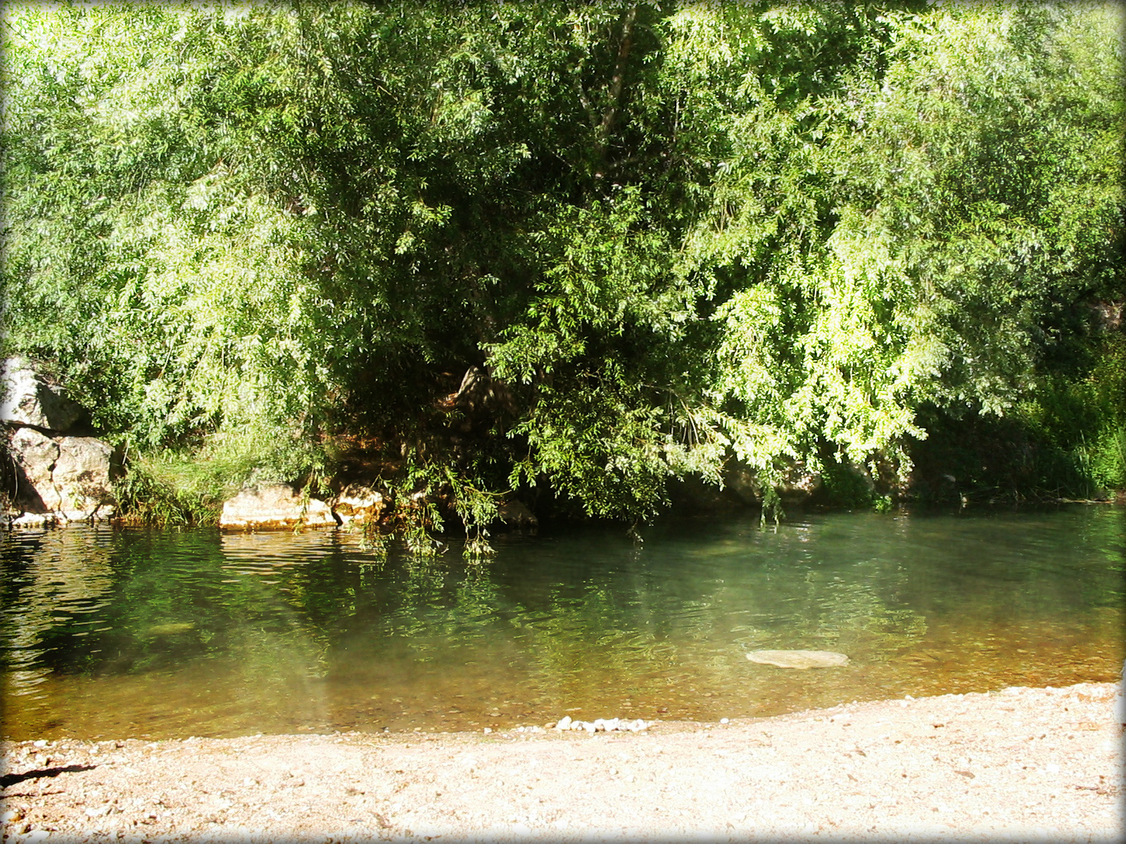 Agroal - in.tensa.mente