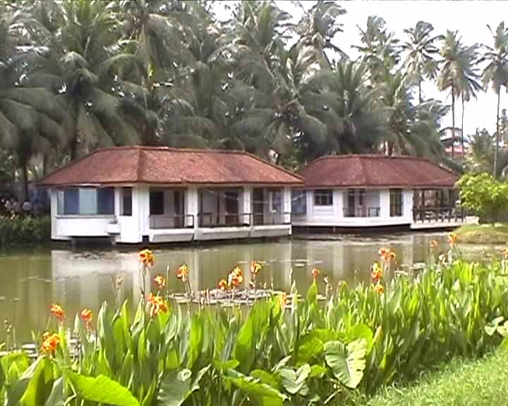 Dindi Resort in Konaseema