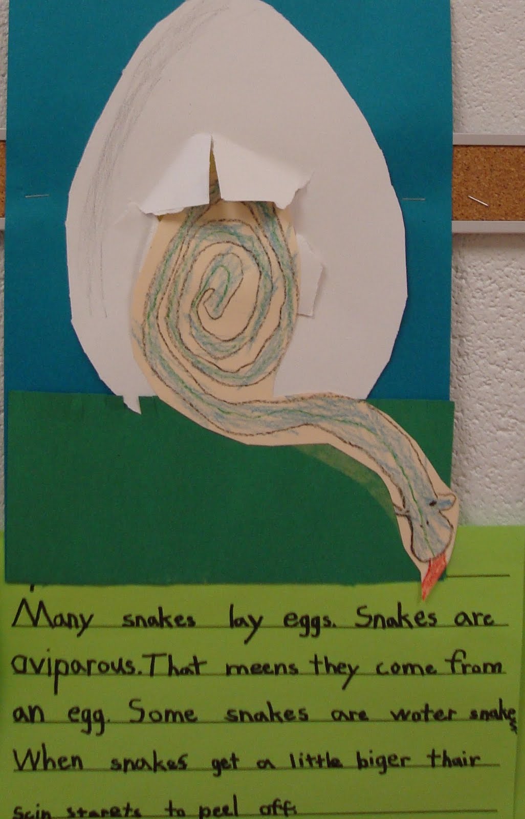 My First Grade Backpack: "Egg-stra" Special Animals Hatch From Eggs!