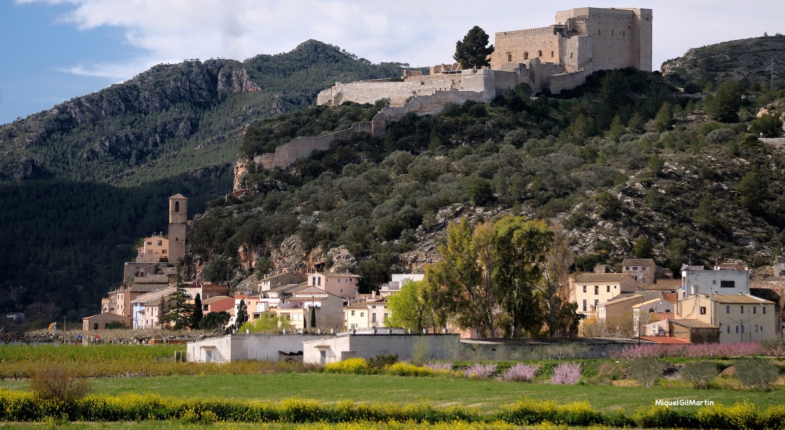 Mirades: Temps de floració a MIRAVET