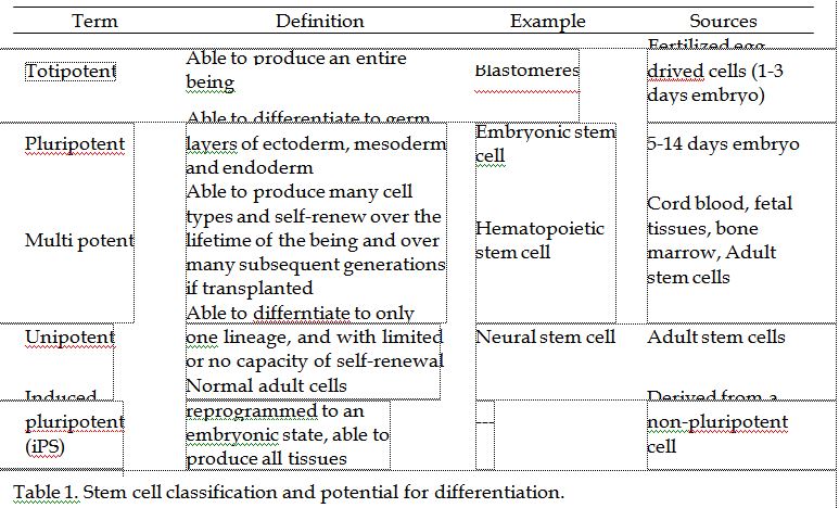 Stem cells: The facts and promises | Stem Cell