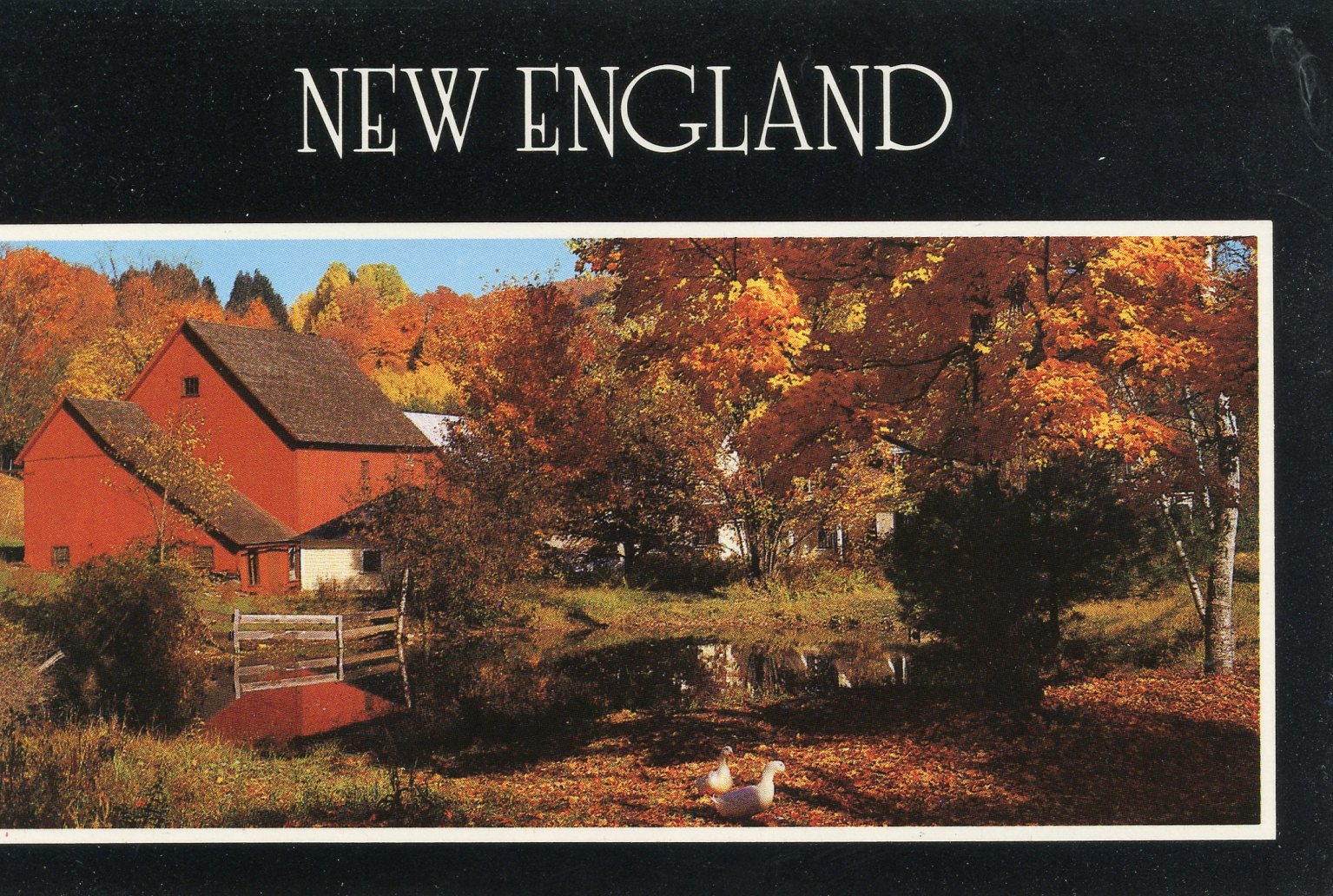 Mrs. Karlonas' Blog : New England Postcard Samples