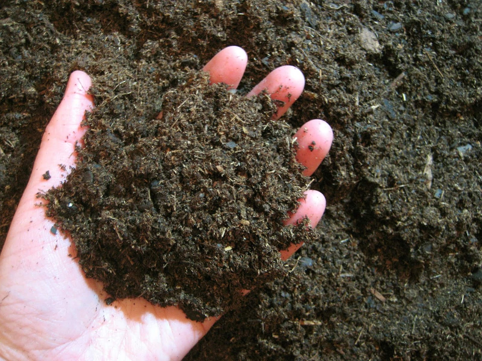 Difference between moorum and soil. /What is the difference between ...