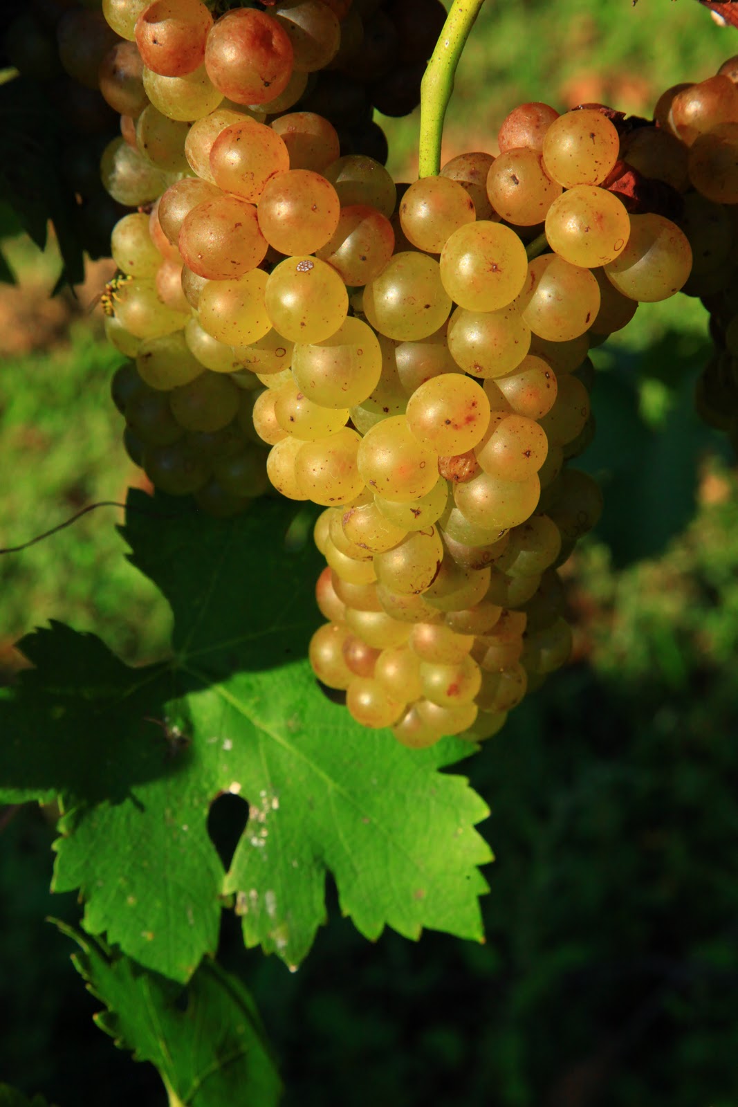 Jim Rowinski Photography Blog