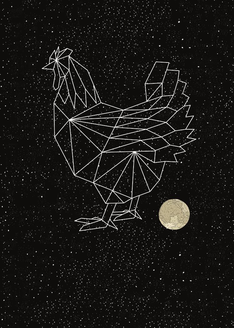mike joos art: Chicken Laying Moon Egg Constellation