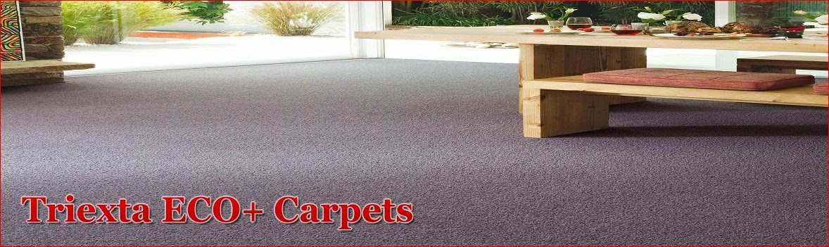 The benefits of triexta carpets ~ Carpets Etc - Flooring Center