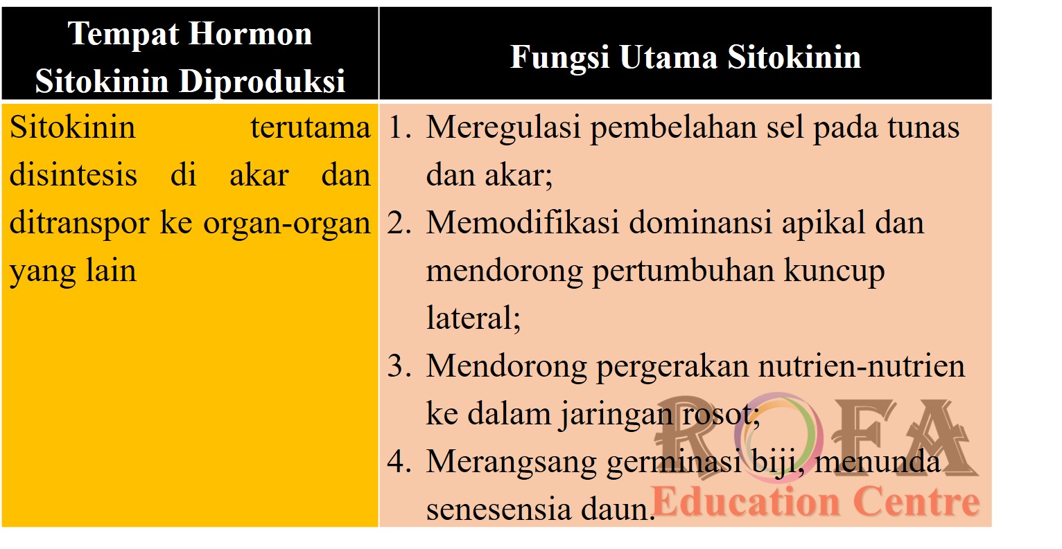 [Pakar] Sitokinin ~ ROFA Education Centre