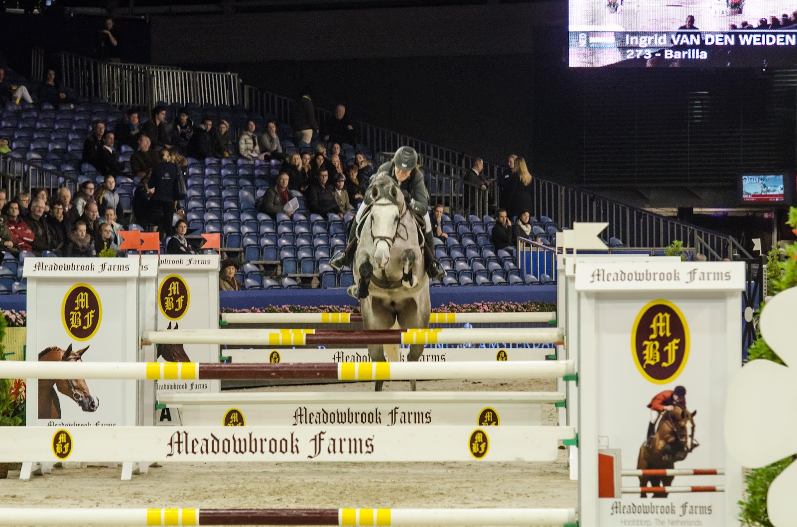 corbakphotography: Paardensport springen
