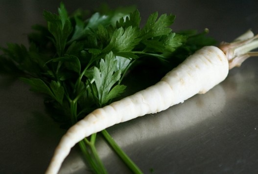 Peršun / Peršin (lat. Petroselinum crispum) | Prirodni lijekovi za sve ...