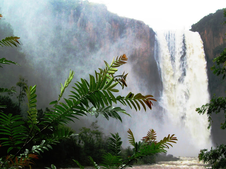 Lazarow World-Hike-About: 11.11 A short-hike down to the base of Howick ...