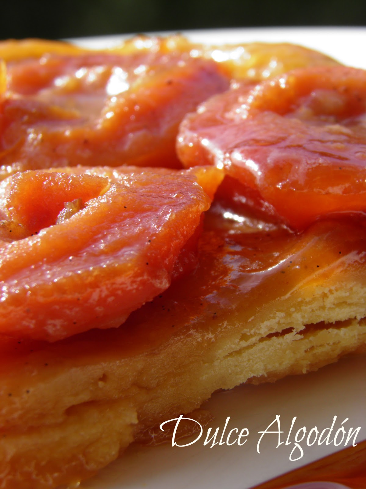 Dulce Algodón: 2012