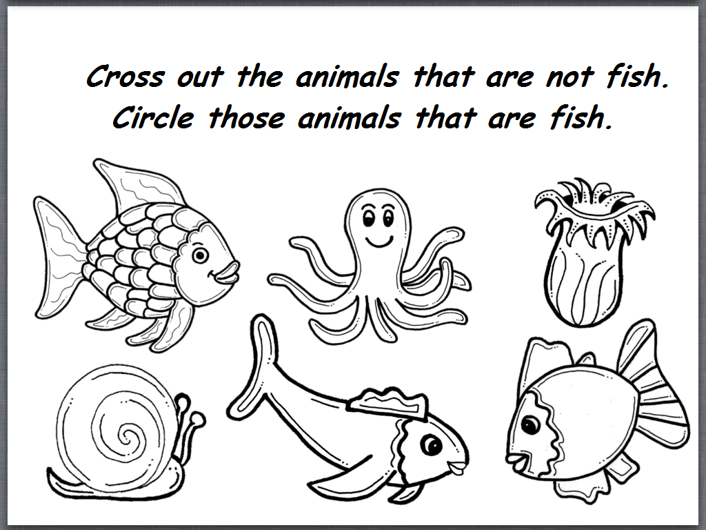 Seneca School - Year 1-2 - Science / English: Vertebrates - Fish