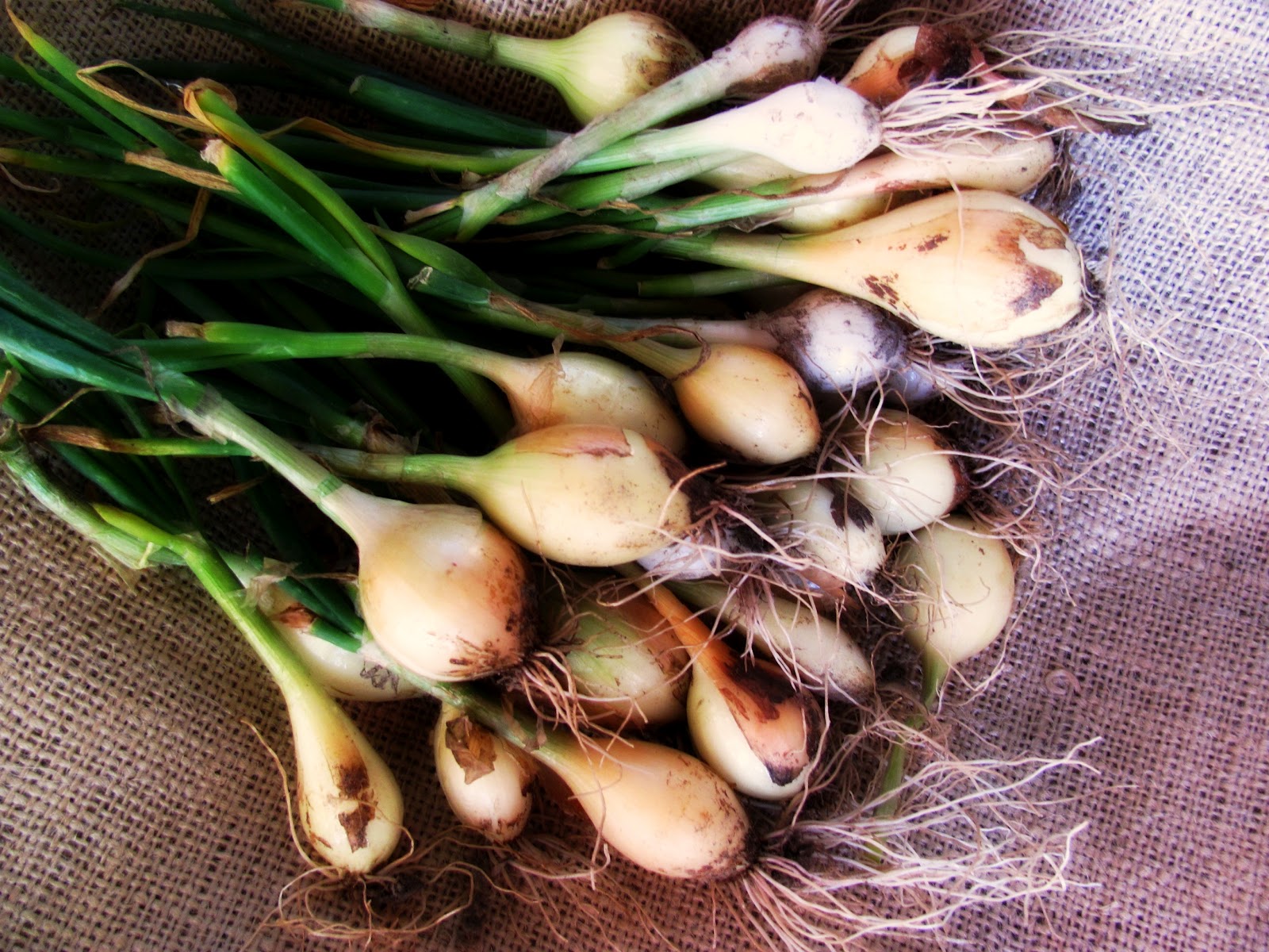 My Messy, Thrilling Life: April 2012