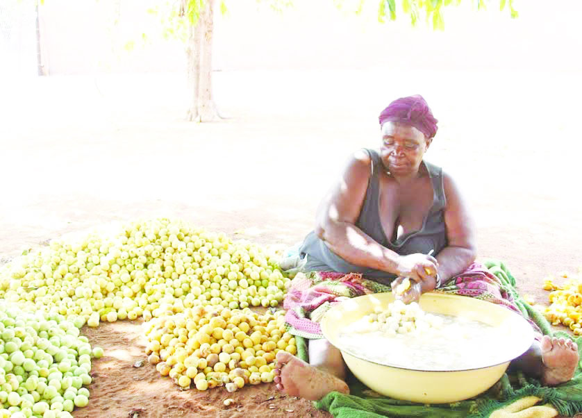 Mukumbi brew takes Zvishavane by storm - The Mirror | Hear and be Heard