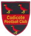 Pie and Mushy Peas: Codicote FC