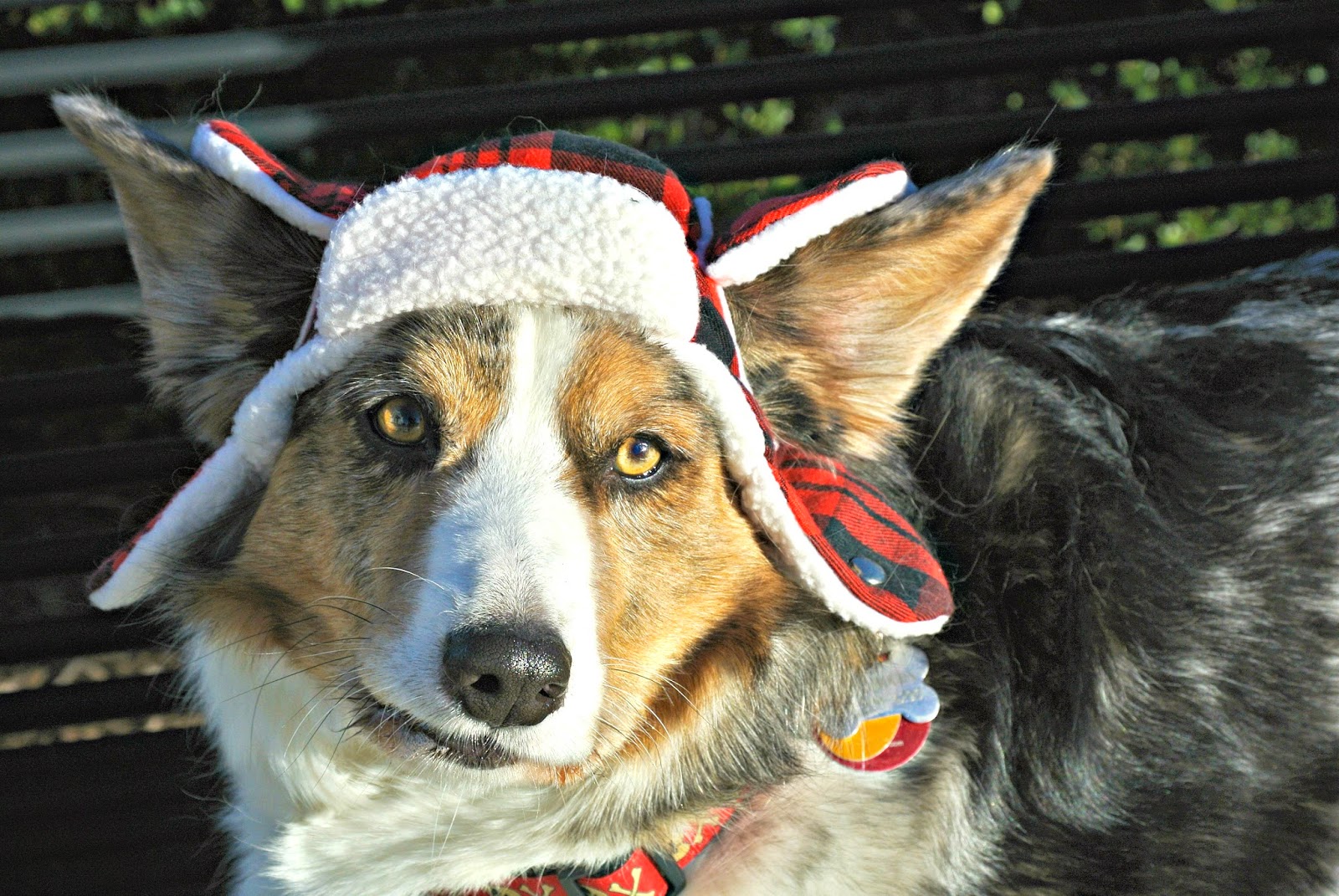 The Chronicles of Cardigan: Tacky Cardigan With Words on It, Squared ...