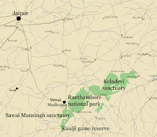 Exotic Destinations In India: Ranthambore National Park