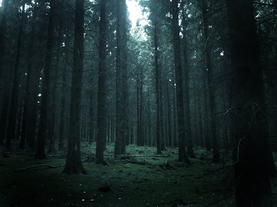 logulogu: Haunted Forest