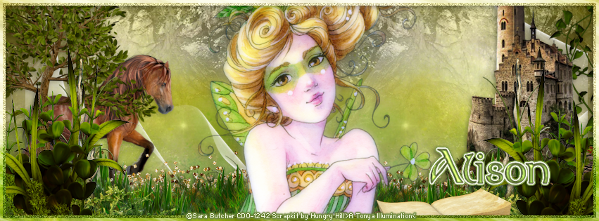 Tonya's Temptations: • Sara Butcher Package 46