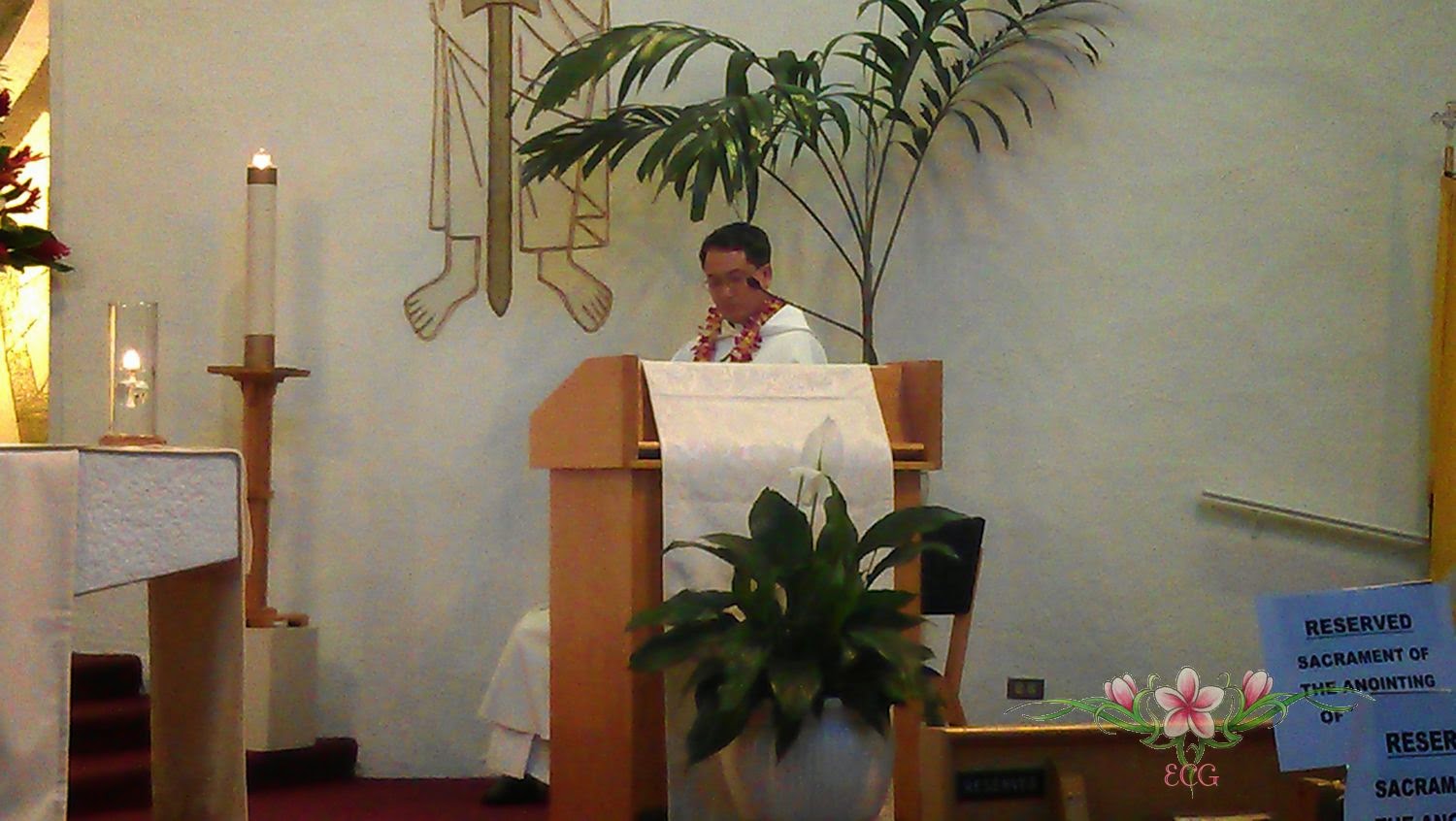 Diocese of Honolulu Spiritual Moms Apostolate: An Installation Mass for ...