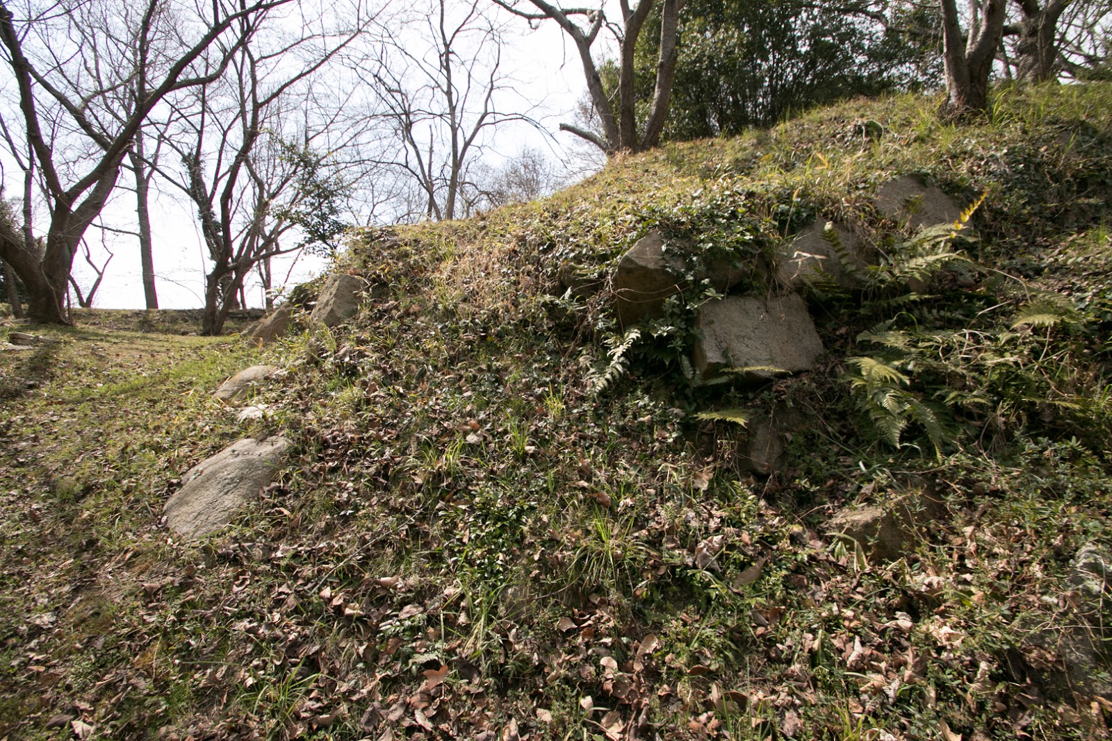 Shimotsui Castle -Castle looking down straight and bridge- | Japan ...