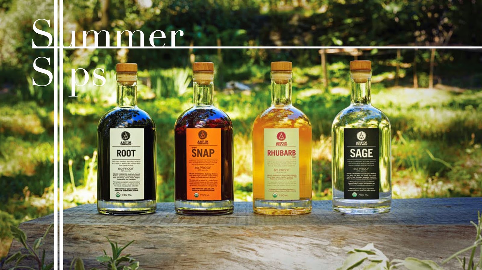 Burgundy Whispers: Summer Sips