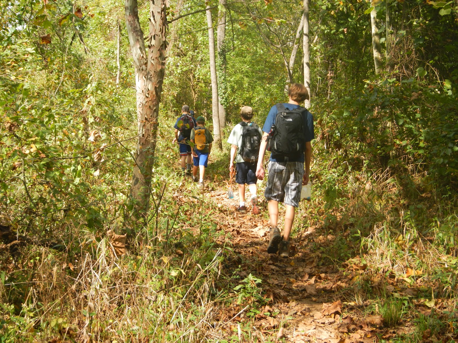 Wandering Virginia: Hiking Charlottesville's Rivanna Trail