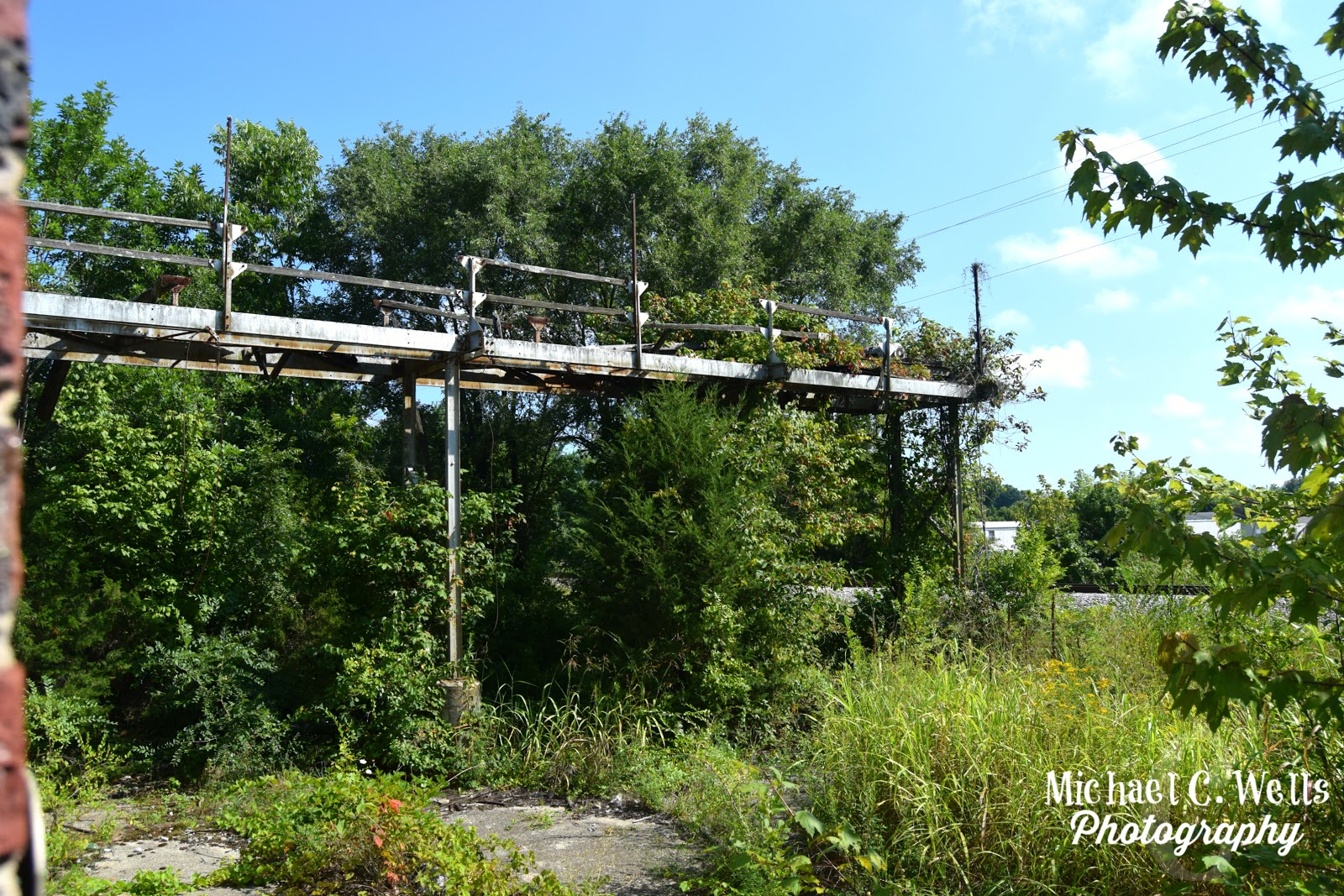 Abandoned Canning Factory