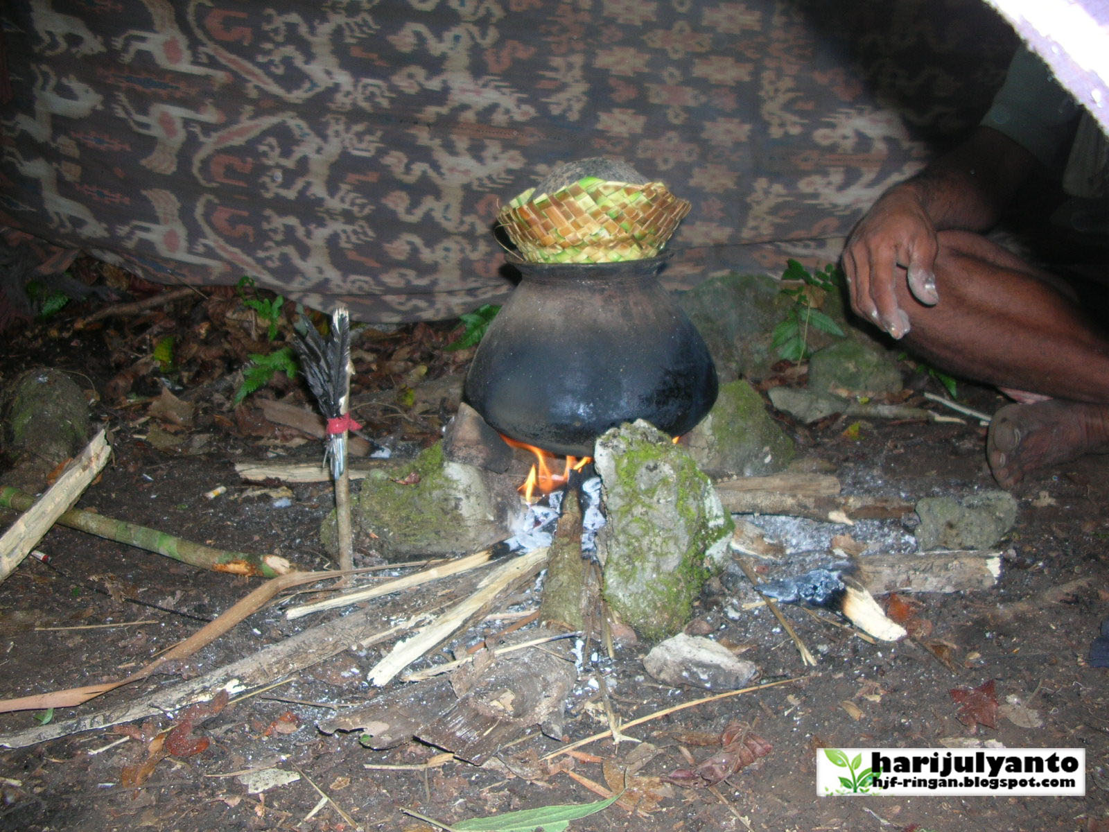 Ringan: Persembahan di Hutan Ritus ( Ritual Purung Taliang Marapu )