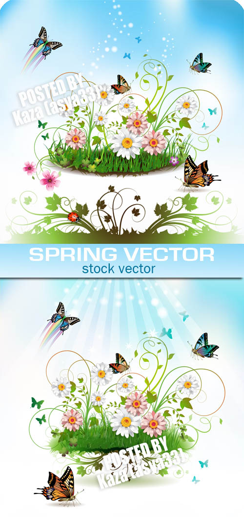 Spring vector - Adobe Plus