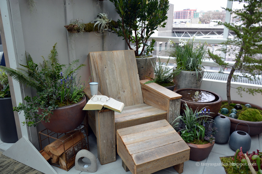 MySecretGarden: 'City Living' Mini-Gardens from the NWFGS