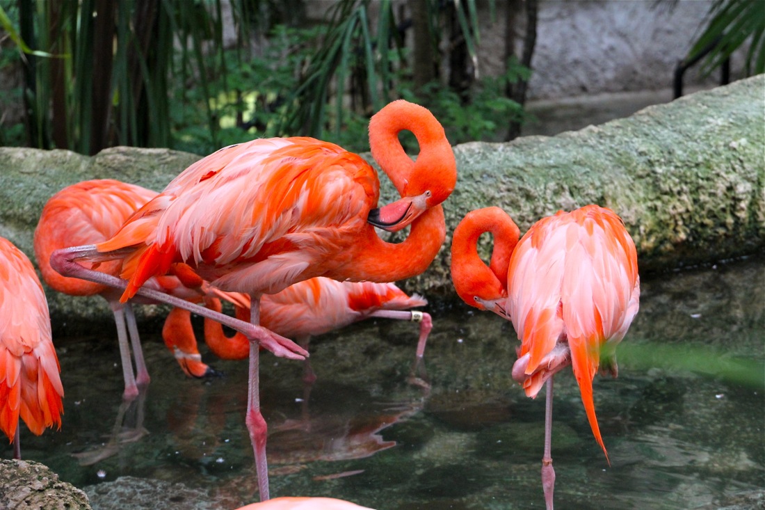 really fun weekend and really big bummer - MADE EVERYDAY