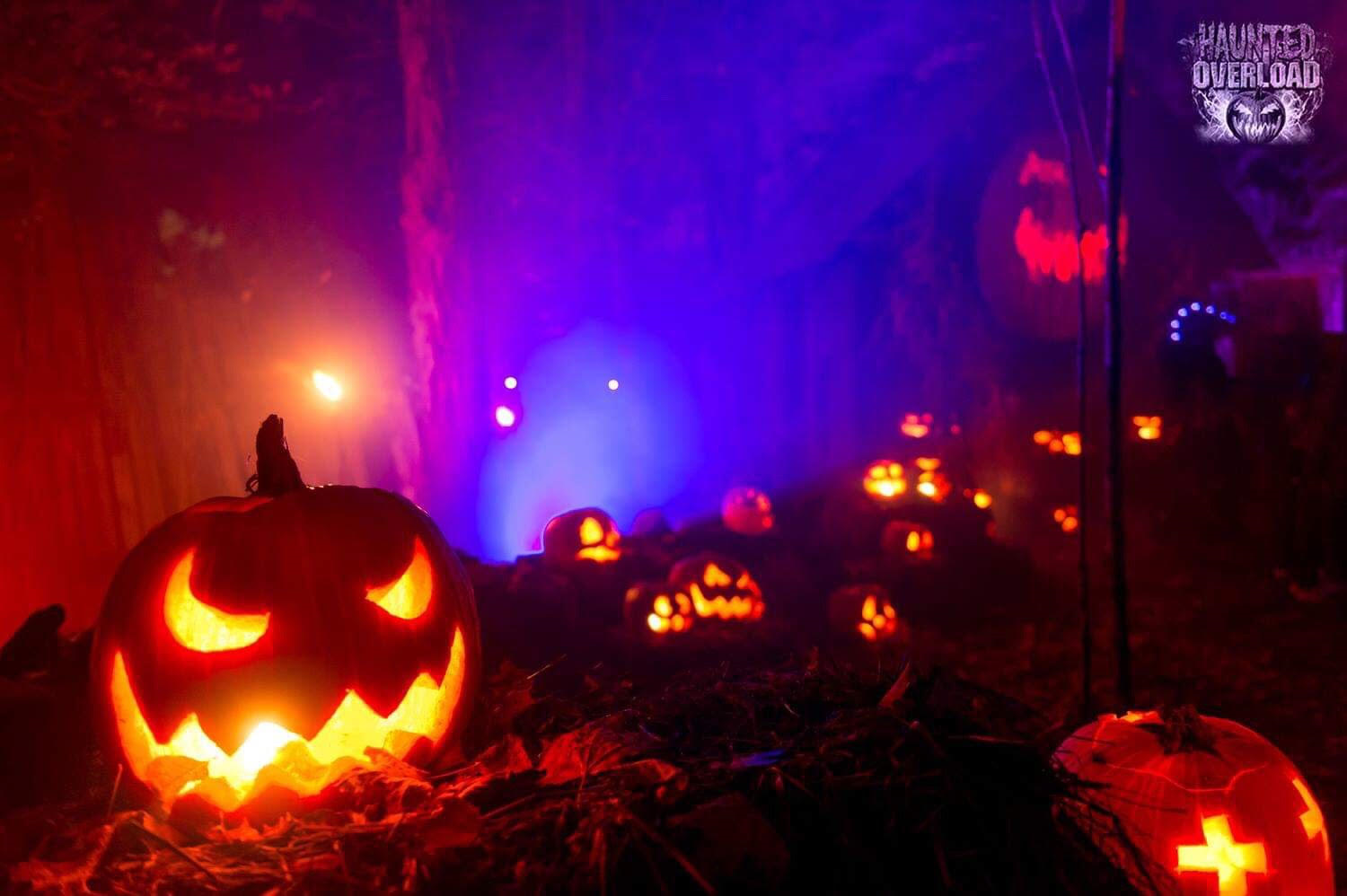 PUMPKINROT.COM: The Blog: Haunted Overload 2018