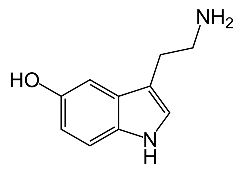 Neuropt: Acetilcolina e a Contração Muscular