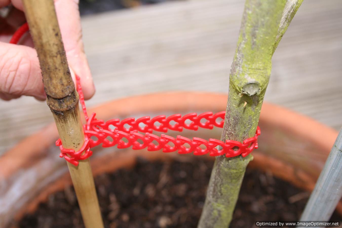 Unreal Gardens: Rapstrap - Thousands of uses only one Rapstrap!!